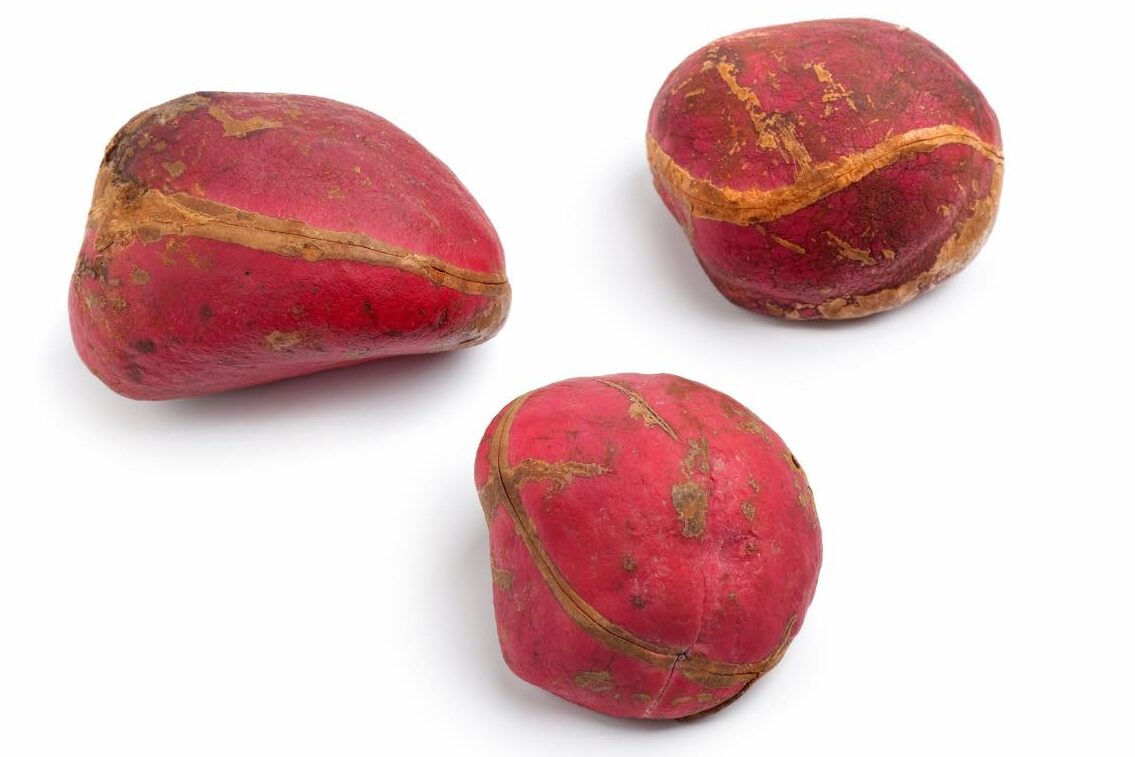 Jack & Kola, migliorato con Cola home-made