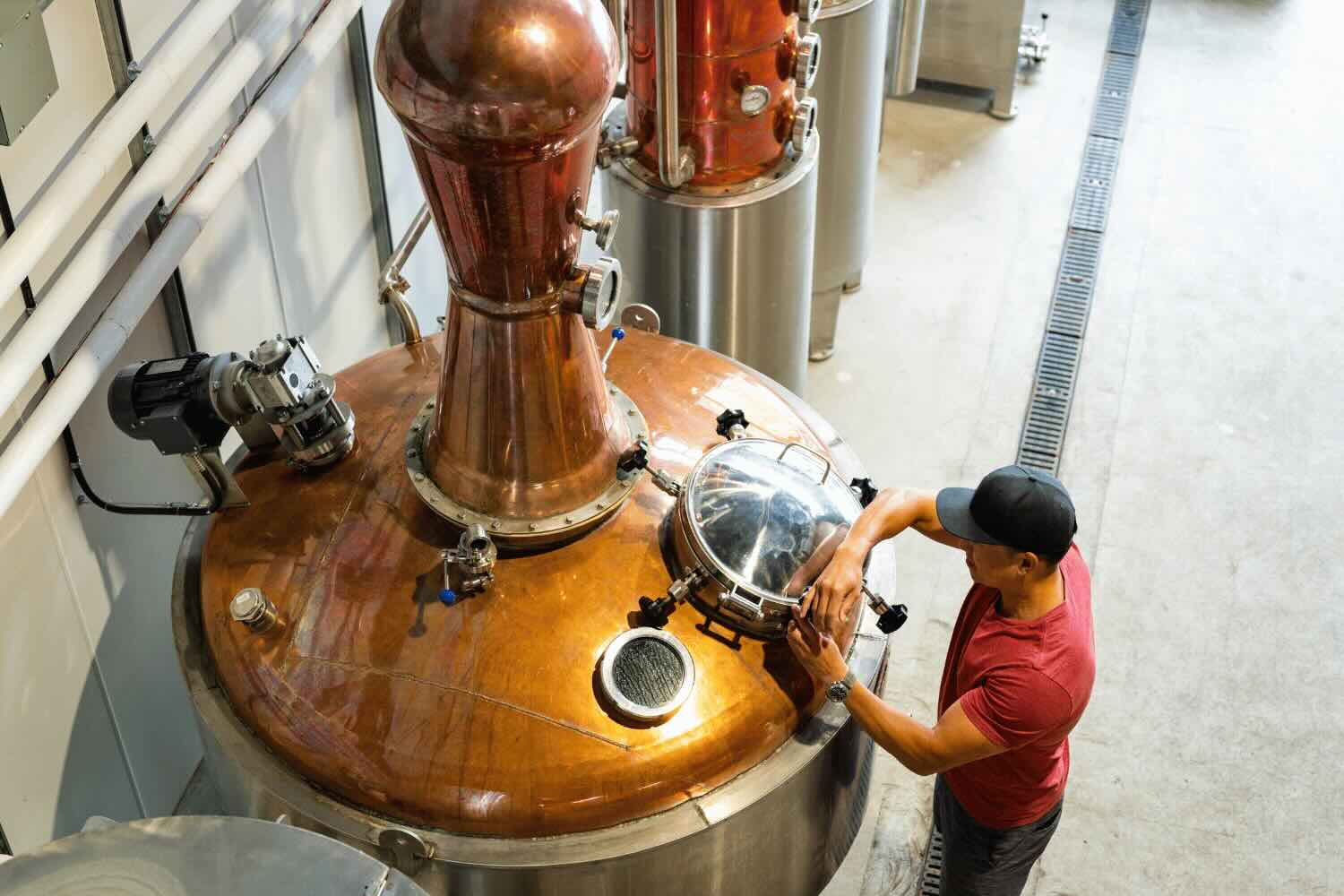 Gin: che cos’è, come si produce e i cocktail più famosi